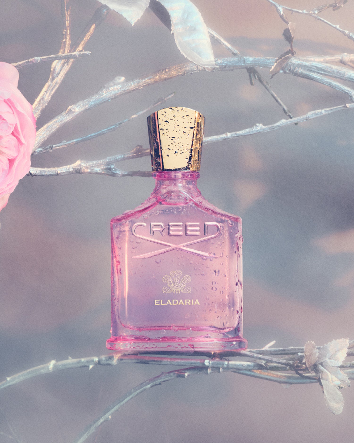 Eladaria | Women's Floral Fragrance | Modern Rose Perfume | Creed ...