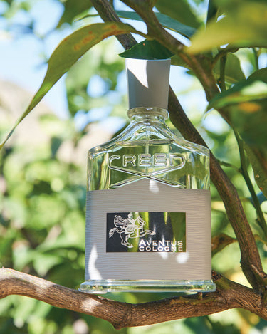 Aventus Cologne | Creed Boutique US
