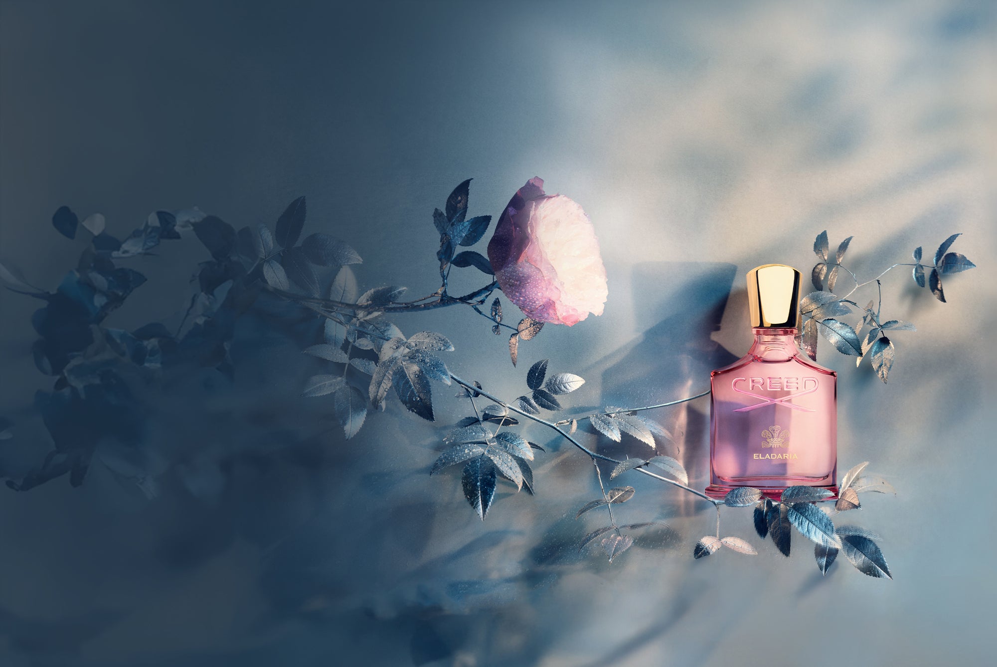 Creed Boutique US | Official Creed Perfume & Fragrance Store